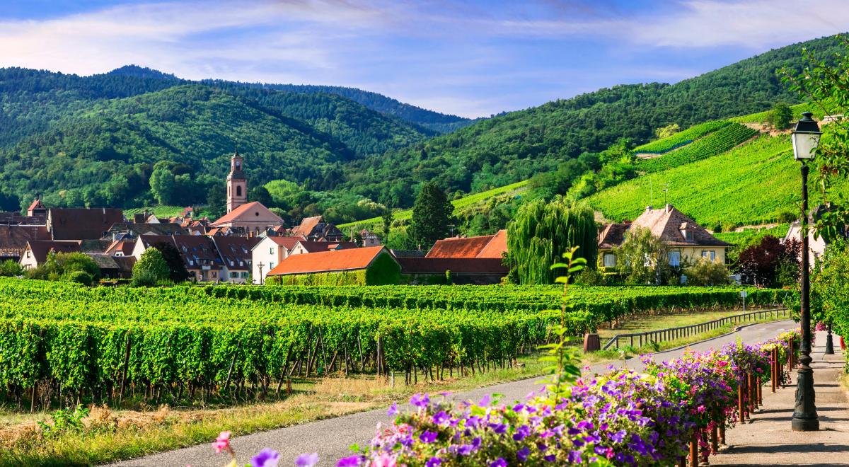 Ferien im Elsass: Natur, Kultur & Genuss | ALDI SUISSE TOURS