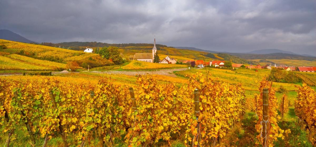 Ferien im Elsass: Natur, Kultur & Genuss | ALDI SUISSE TOURS