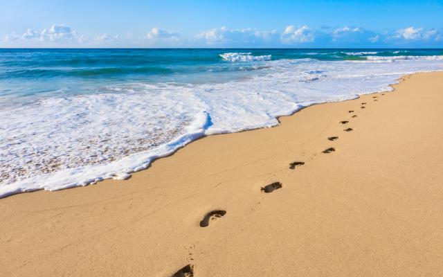 Strand, Meer und Sonne | ALDI SUISSE TOURS