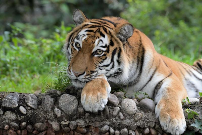 Ferien in Deutschland | Reisethema | ALDI SUISSE TOURS