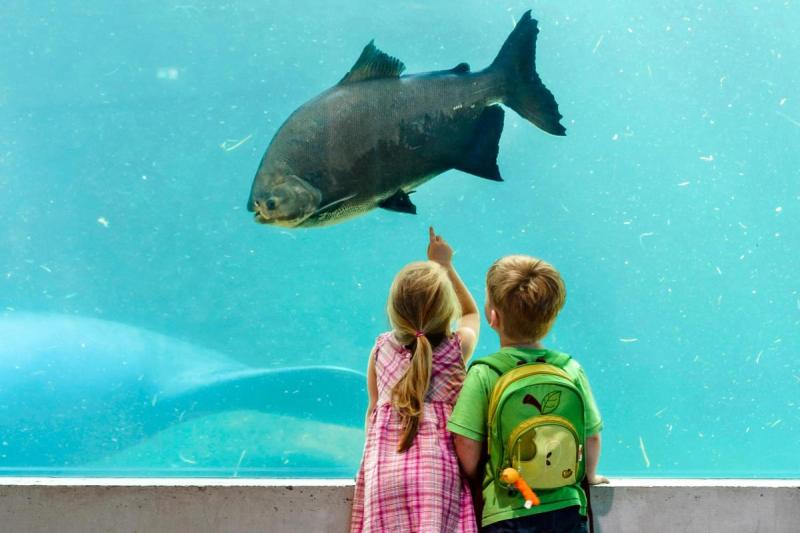 Freizeitpark- & Zoo-Special | Reisethema | ALDI SUISSE TOURS